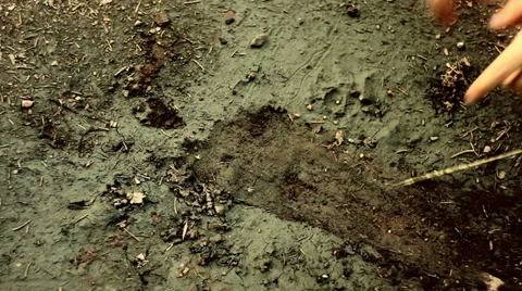 Bigfoot Footprint Stock Footage ~ Royalty Free Stock Videos | Pond5