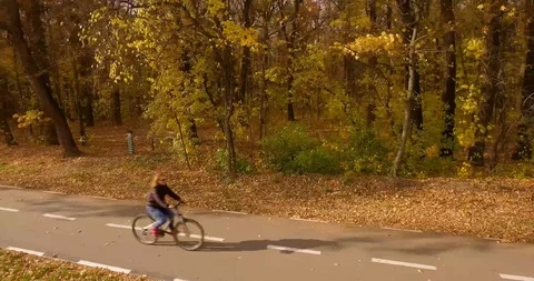 Forst Path Stock Videos – Royalty-Free HD & 4K Videos | Pond5