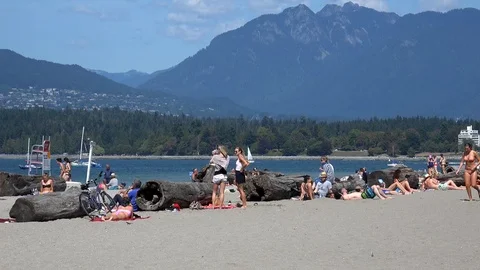 Bikini Girls On Beach Stock Footage ~ Royalty Free Stock Videos | Page 6