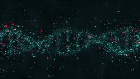 Binary Code DNA Strand Rotation Loop | Stock Video | Pond5