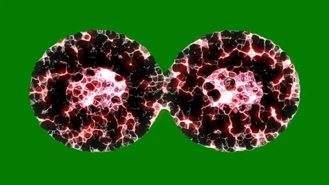 Binary fission cells division motion gra... | Stock Video | Pond5