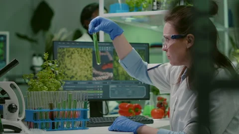 Biochemistry doctor examining chemical t... | Stock Video | Pond5