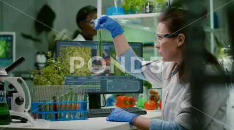 Photograph: Biochemistry doctor examining chemical test under ...