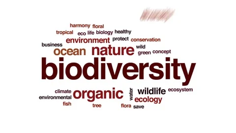Biodiversity animated word cloud, text d... | Stock Video | Pond5