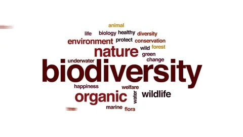 Biodiversity animated word cloud, text d... | Stock Video | Pond5