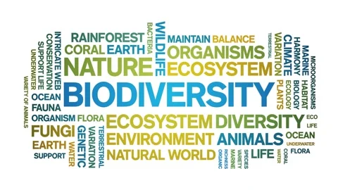Biodiversity animated word cloud,tag ani... | Stock Video | Pond5
