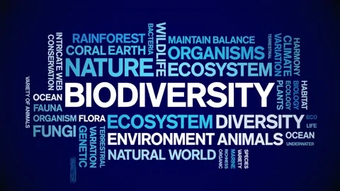 Biodiversity animated word cloud,tag ani... | Stock Video | Pond5