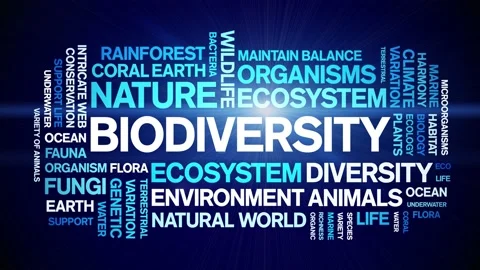 Biodiversity animated word cloud,tag ani... | Stock Video | Pond5