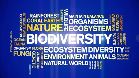 Biodiversity animated word cloud,tag ani... | Stock Video | Pond5