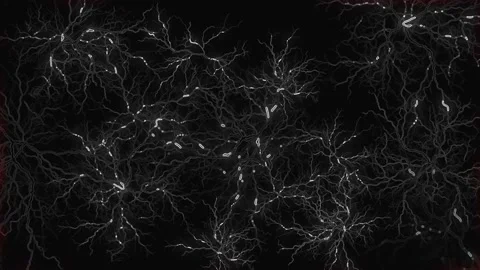 biological animation. Nervous tissue thr... | Stock Video | Pond5