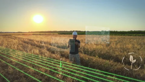 Biologist Farmer analyst scans grain fie... | Stock Video | Pond5