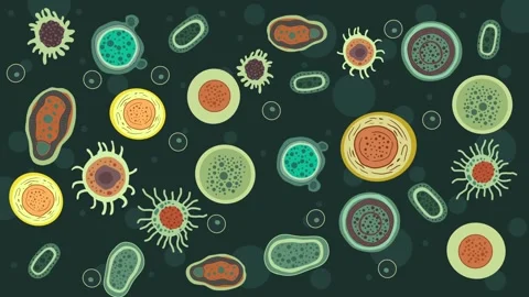 Backgrounds Bacteria Biology Stock Footage ~ Royalty Free Stock Videos ...