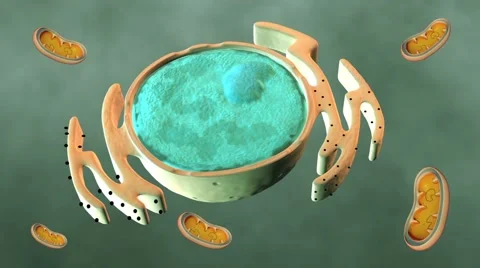 Science Cell Biology Stock Footage ~ Royalty Free Stock Videos | Pond5