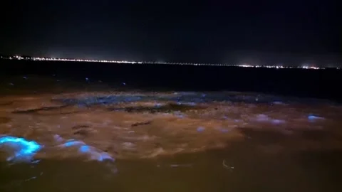 Bioluminescent Algae Bloom in Brisbane, ... | Stock Video | Pond5
