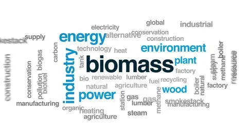 Biomass animated word cloud, text design... | Stock Video | Pond5