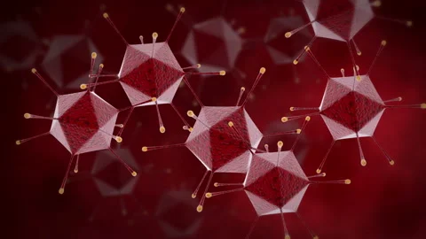 Biomedical animation of the adenovirus. | Stock Video | Pond5
