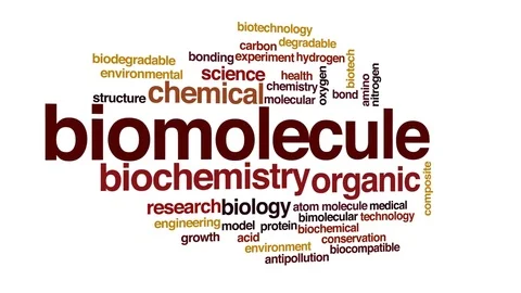 Biomolecule animated word cloud, text de... | Stock Video | Pond5