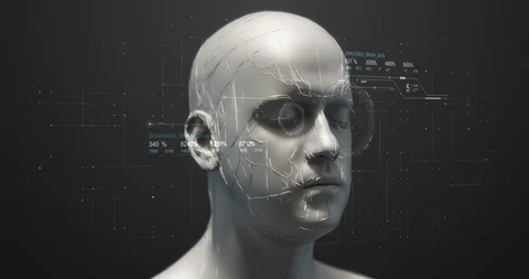 Rotating 3D Head Stock Videos – Royalty-Free HD & 4K Videos