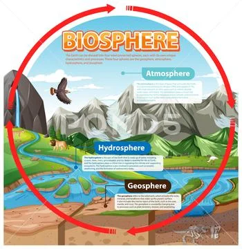 Biosphere Ecology Infographic for Learning: Graphic #236522577