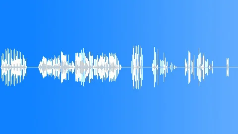 Sound Effect: Bird Calls, Falcon Hawk, Hawk Sparrow, Red Tailed Hawk X ...