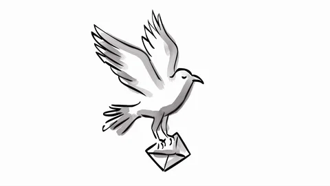 Bird Delivering Mail Drawing 2D Animatio... | Stock Video | Pond5