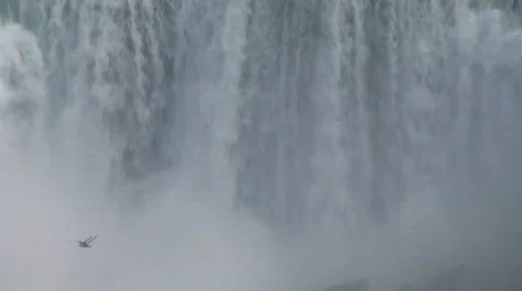 Bird flying on falling water background | Stock Video | Pond5