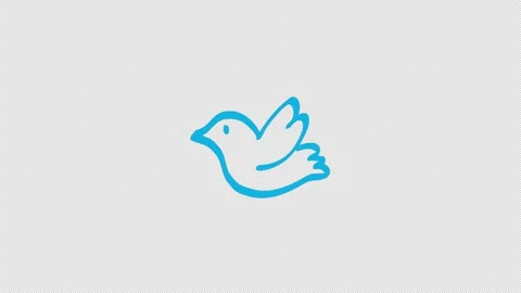 bird icon loop Animation video transpare... | Stock Video | Pond5
