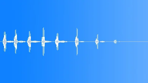 Bird, Loon Single Loon: Warble Calls, Animal ~ Sound Effect #168040144