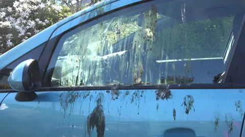 Car Window Pooping Stock Videos – Royalty-Free HD & 4K Videos | Pond5