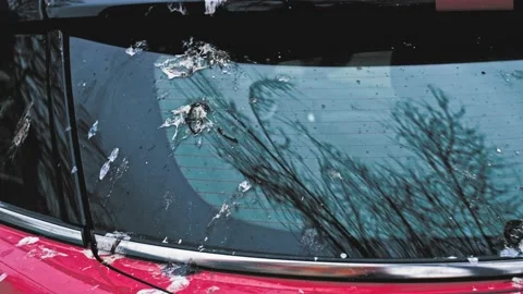 Car Window Pooping Stock Videos – Royalty-Free HD & 4K Videos | Pond5
