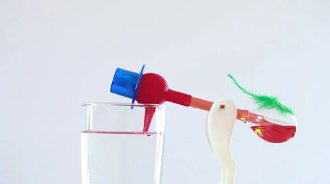 Bird roly-poly drinking water from glass | Stock Video | Pond5