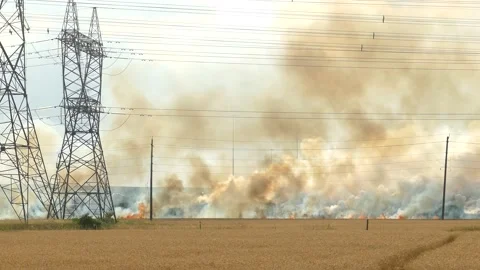 Bird strike with powerline turns into in... | Stock Video | Pond5