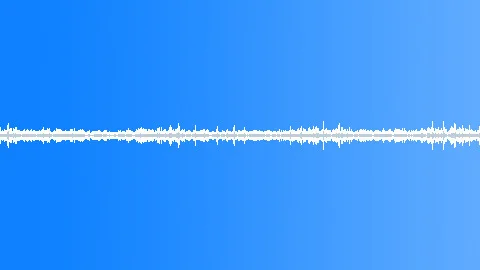 Sound Effect: Bird Twitter, Constant, Whistles and Chirps, Cicadas Hiss ...