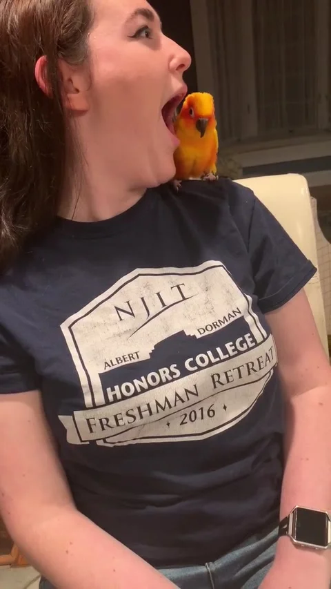 One Song Stock Videos – Royalty-Free HD & 4K Videos