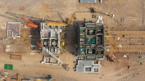 Oil Bird Stock Footage ~ Royalty Free Stock Videos | Pond5