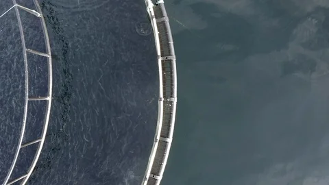 Bird's Eye View of an Aquaculture Fish F... | Stock Video | Pond5