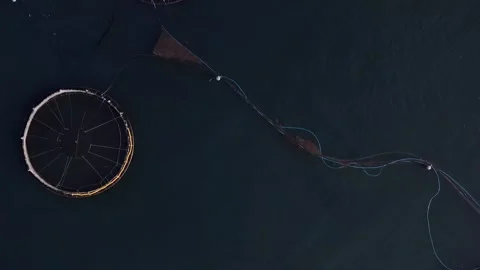 Bird's eye view drone shot of fish farmi... | Stock Video | Pond5