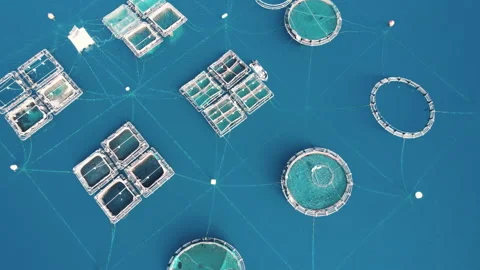 birds-eye view of fish farms in Greek wa... | Stock Video | Pond5