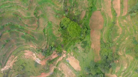 Eye Elevation View Stock Footage ~ Royalty Free Stock Videos | Page 2