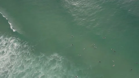 Birds Over Head Stock Videos – Royalty-Free HD & 4K Videos | Page 5