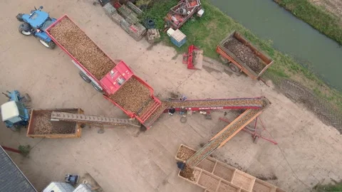 Birds eye view production chain of potat... | Stock Video | Pond5