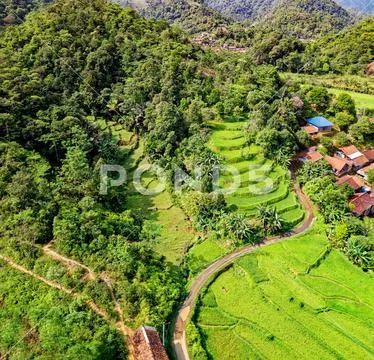 Bird's Eye View of Rice Terraces ~ Hi Res #268945438