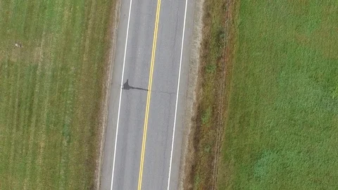 Bird's Eye View of a Road as Two Cars Pa... | Stock Video | Pond5