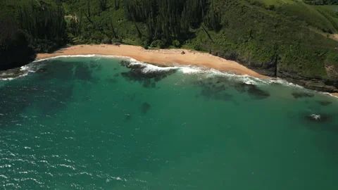 Bird's eye view of Turtle Bay, sea turtl... | Stock Video | Pond5