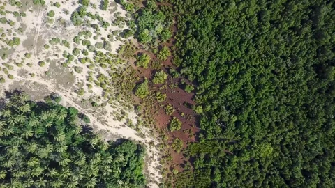 Birds eye of view of untouched natural s... | Stock Video | Pond5