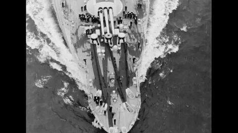 Navy Birds Stock Video Footage | Royalty Free Navy Birds Videos | Pond5