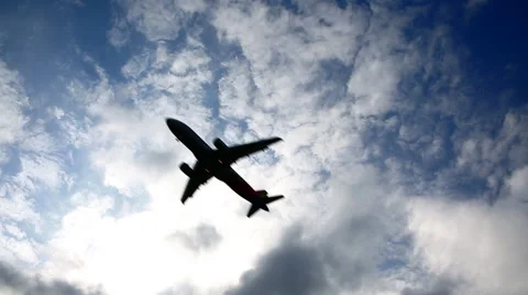 Birds flying and then airplane flying ov... | Stock Video | Pond5