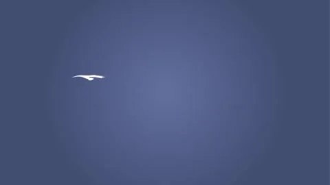 birds flying effect background and 2d an... | Stock Video | Pond5