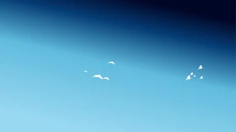 birds flying effect background and 2d an... | Stock Video | Pond5