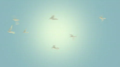 Birds Flying Loop with Alpha Matte HD | Stock Video | Pond5
